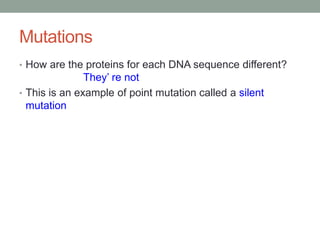 Mutations and Proteins slide | PPT
