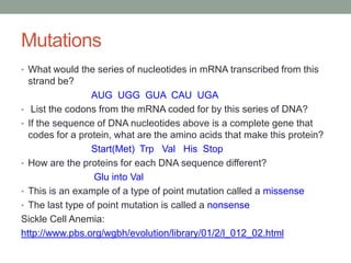Mutations and Proteins slide | PPT