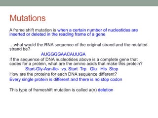 Mutations and Proteins slide | PPT
