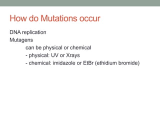 Mutations and Proteins slide | PPT