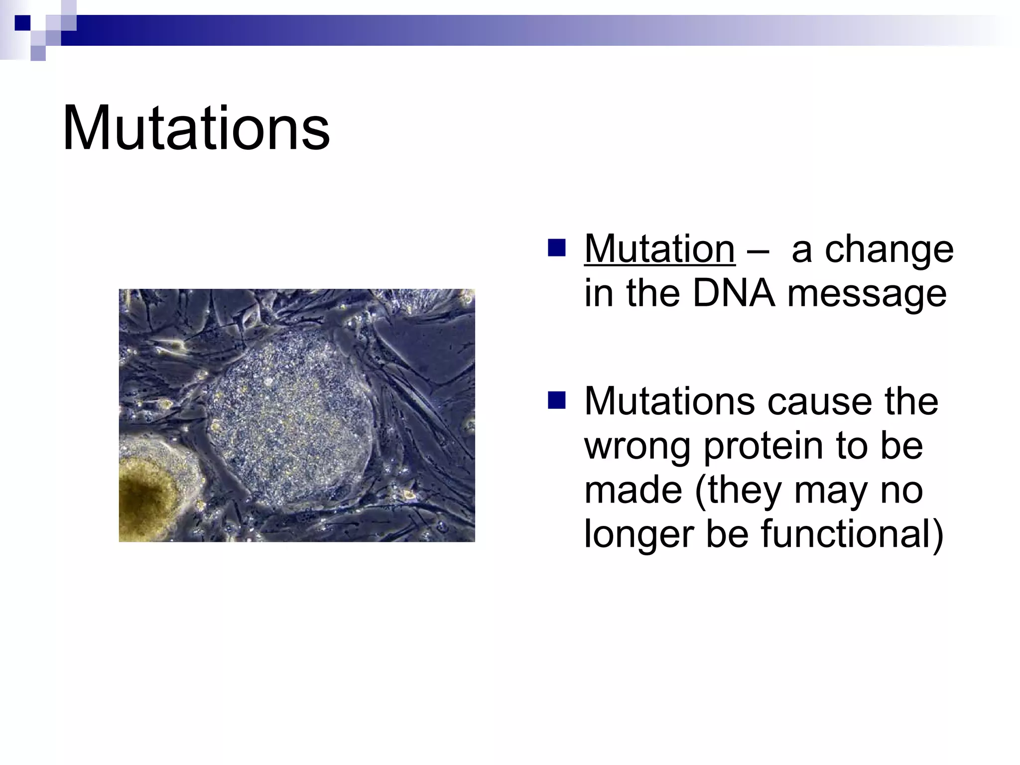 Mutations Autosomal Dominant | PPT