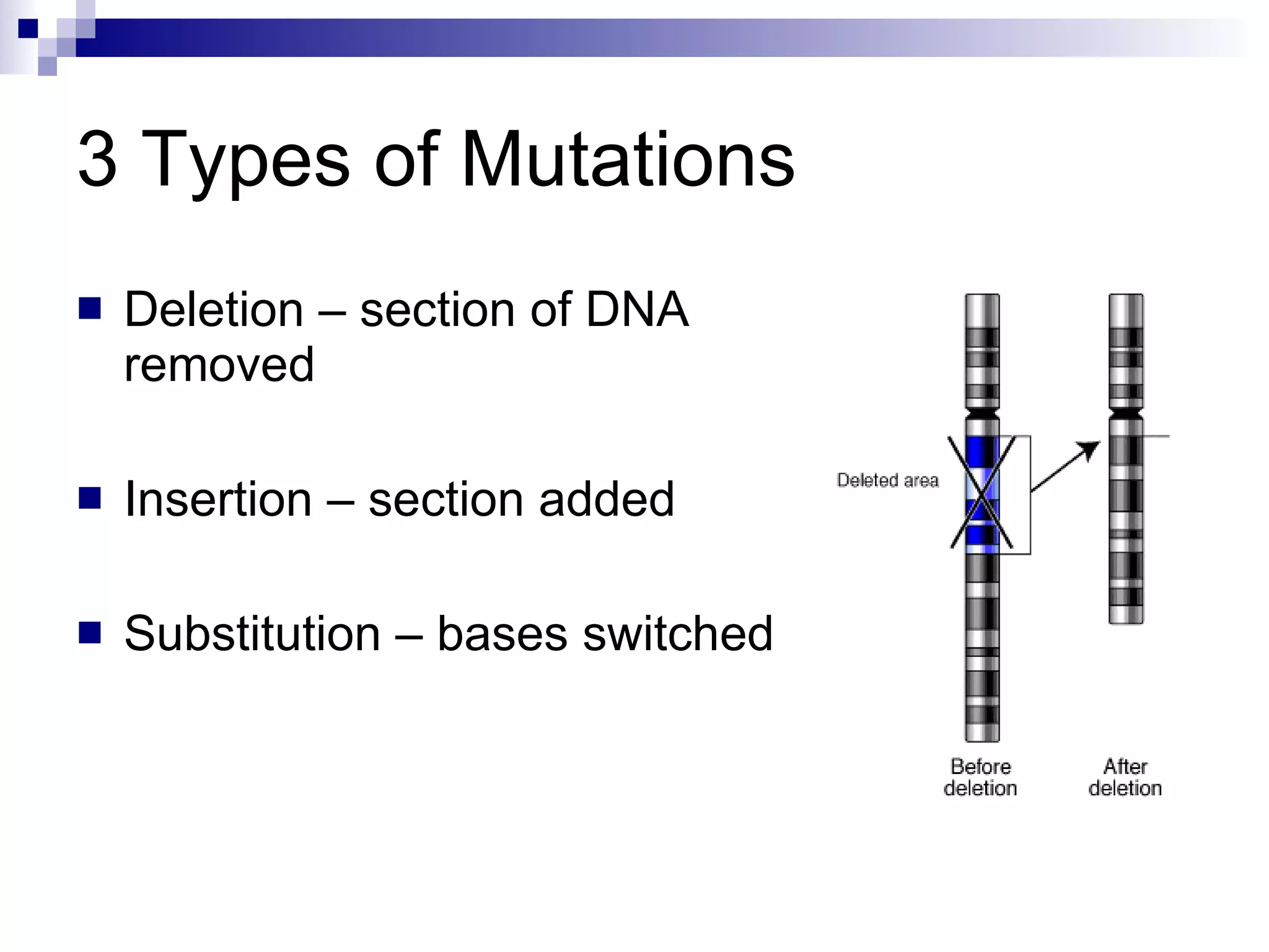 Mutations Autosomal Dominant | PPT