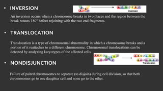 Mutations by Rashi Rathore | PPT