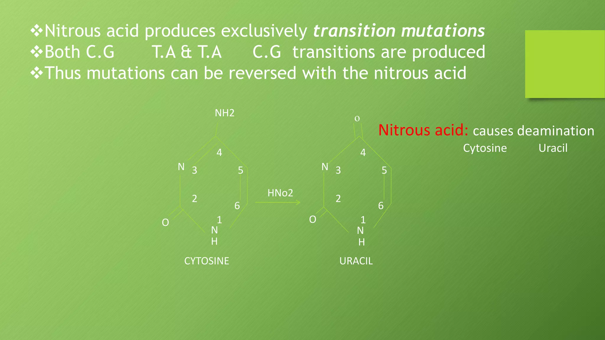 mutations by Yalavarthi nagaraju.pptx