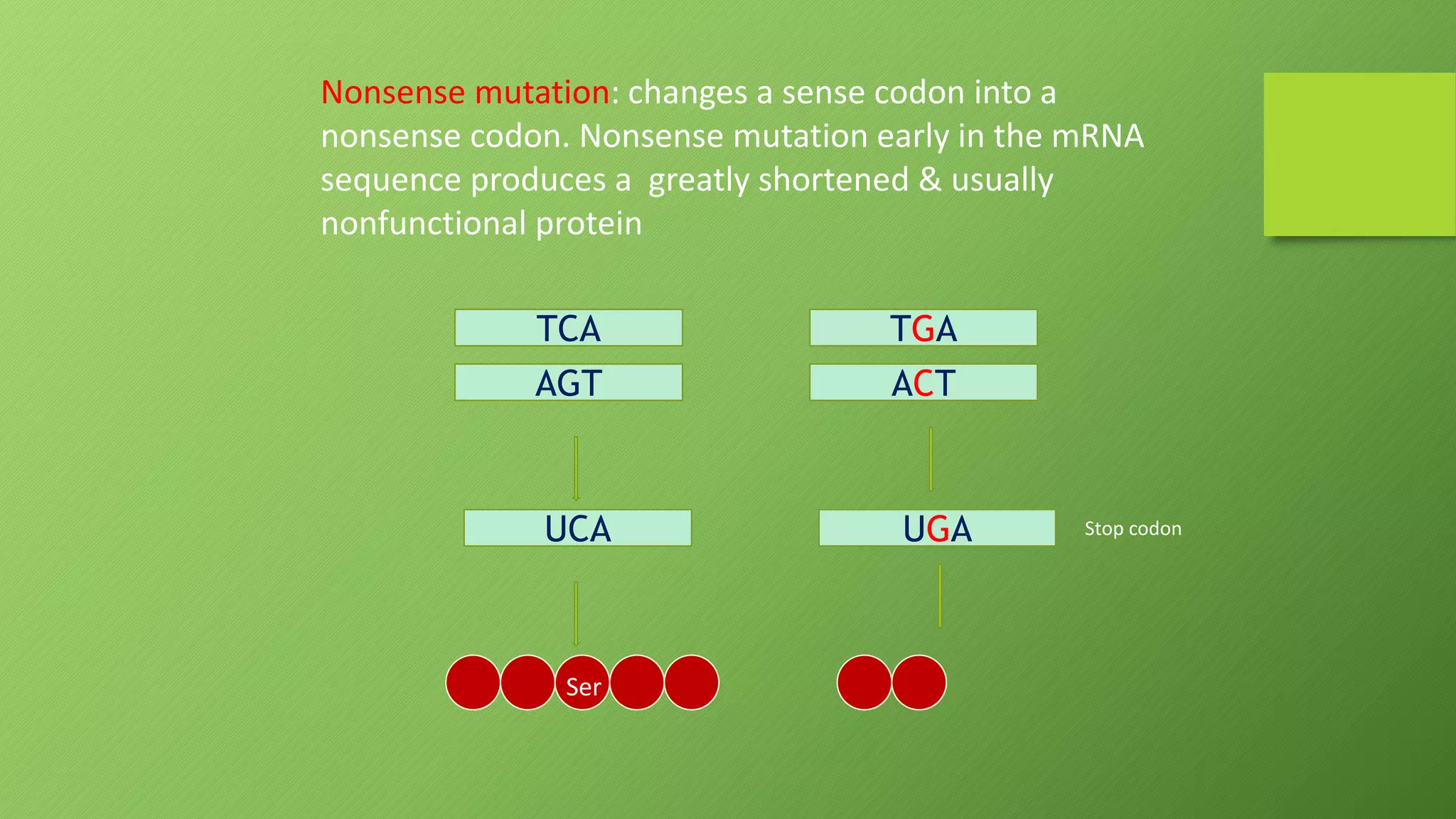 mutations by Yalavarthi nagaraju.pptx