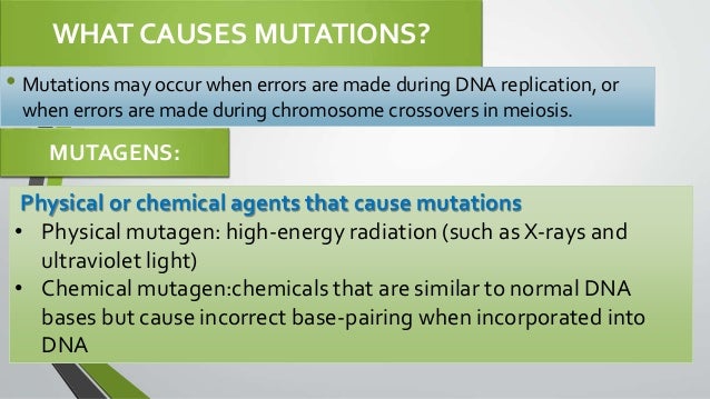 Mutations can change the meaning of genes