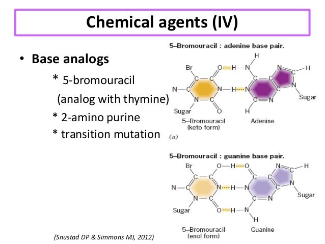 Mutation and DNA repair