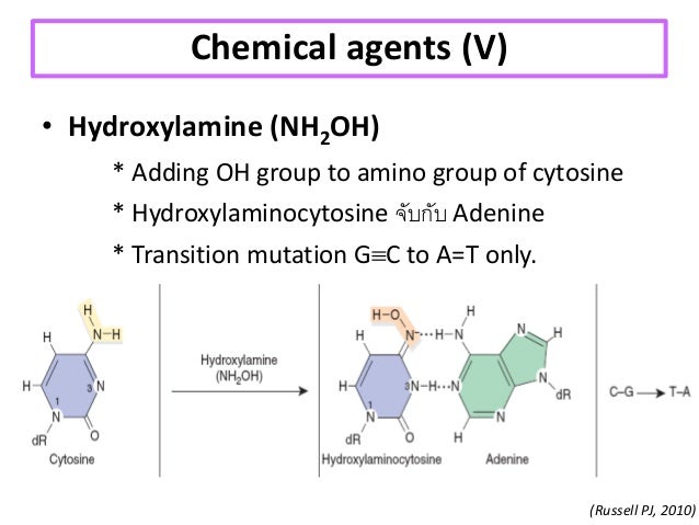 Mutation and DNA repair
