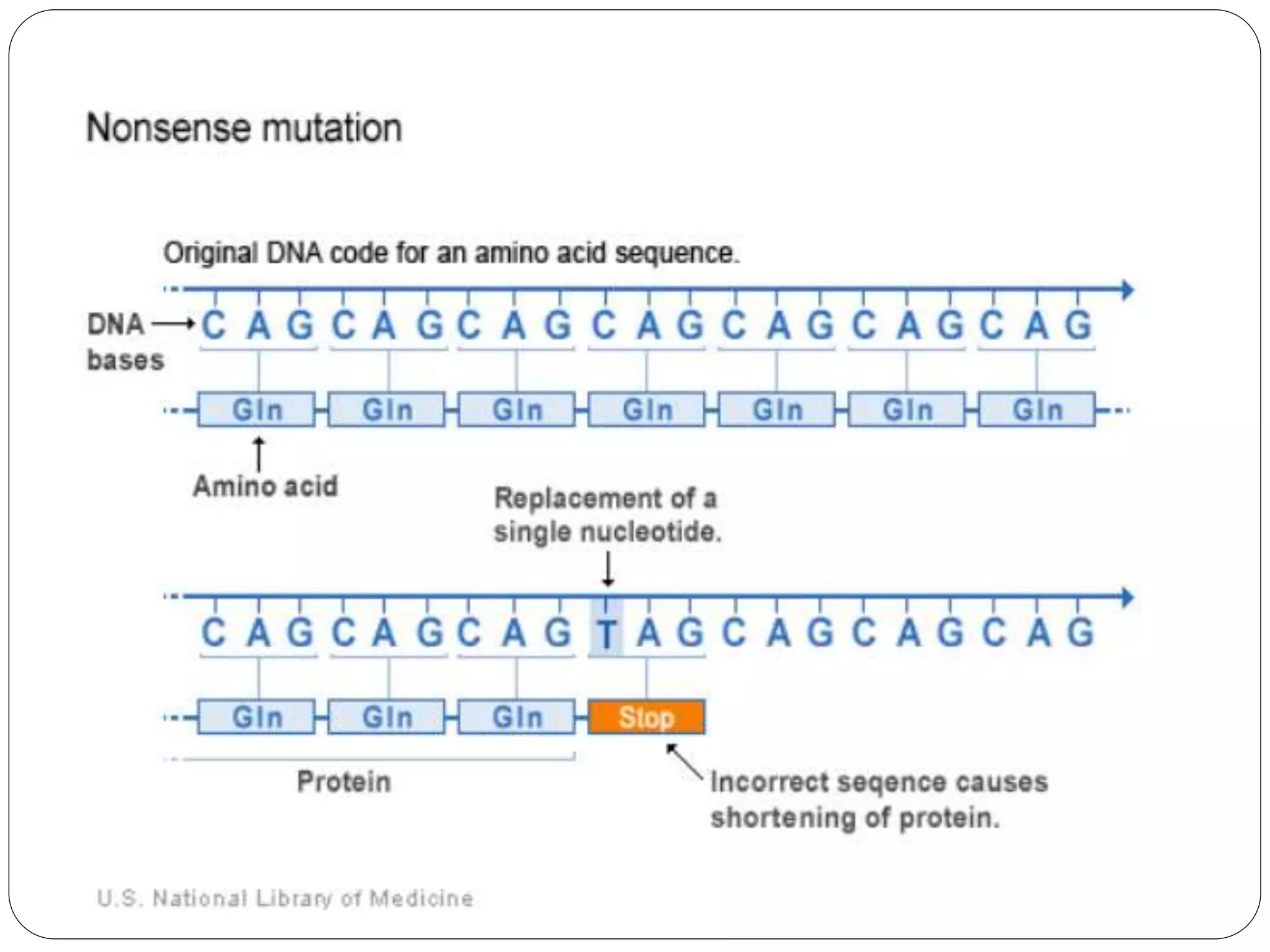 Mutation. | PPT