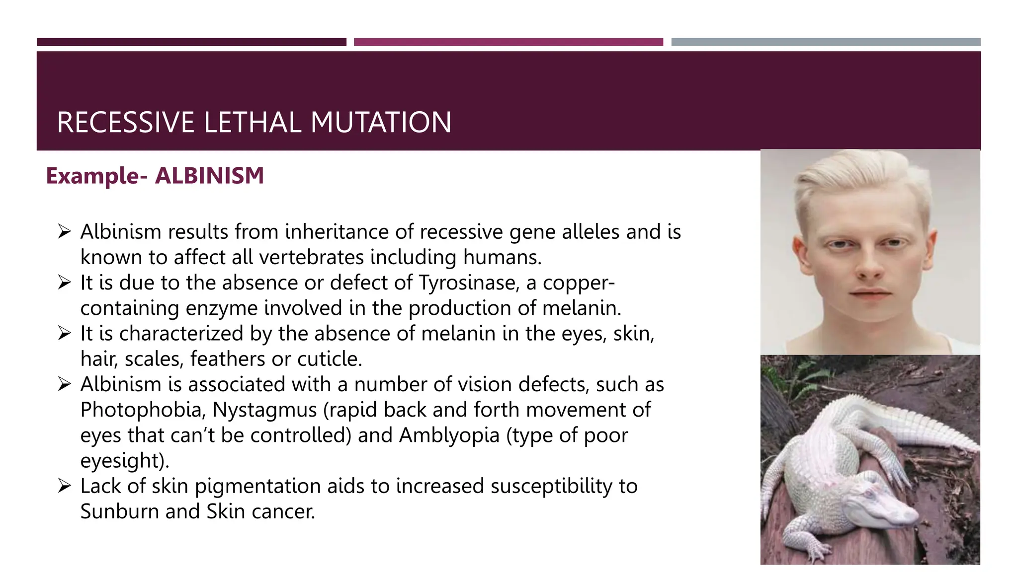 MUTATIONS FINAL.kinds of mutation,causes | PPT