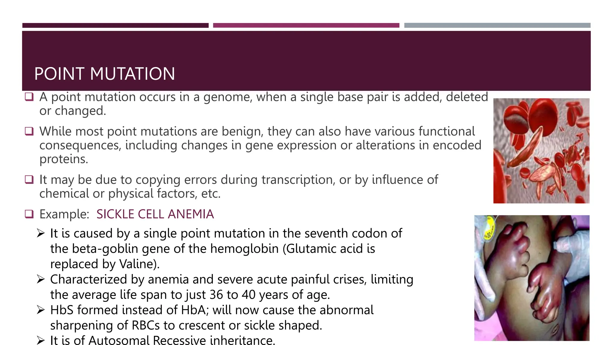 MUTATIONS FINAL.kinds of mutation,causes | PPT