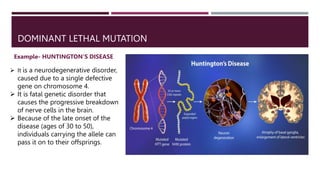 MUTATIONS FINAL.kinds of mutation,causes | PPT