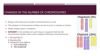 MUTATIONS FINAL.kinds of mutation,causes | PPTX