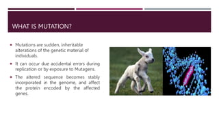 MUTATIONS FINAL.kinds of mutation,causes | PPT