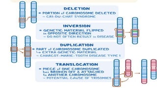 MUTATIONS FINAL.kinds of mutation,causes | PPT