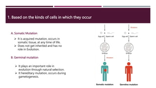MUTATIONS FINAL.kinds of mutation,causes | PPT