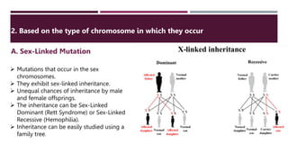 MUTATIONS FINAL.kinds of mutation,causes | PPTX