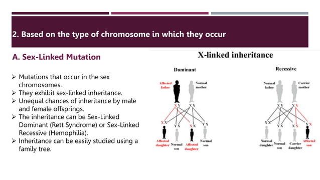 MUTATIONS FINAL.kinds of mutation,causes | PPT
