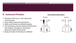 MUTATIONS FINAL.kinds of mutation,causes | PPT
