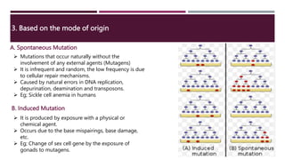 MUTATIONS FINAL.kinds of mutation,causes | PPT
