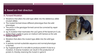 MUTATIONS FINAL.kinds of mutation,causes | PPT