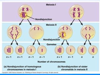 Mutations for ap bio | PPTX