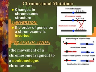 mutationsgeneticdisorders.ppt