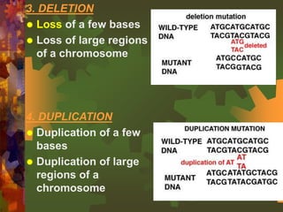 mutationsgeneticdisorders.ppt