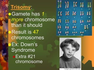 mutationsgeneticdisorders.ppt