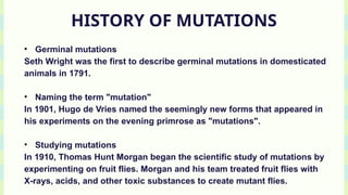 Mutations in Protein-Coding Genes: Mechanisms and Implications | PPTX