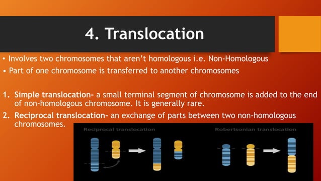 Mutations,natural selection and speciation | PPTX