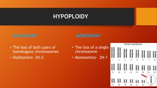 Mutations,natural selection and speciation | PPT