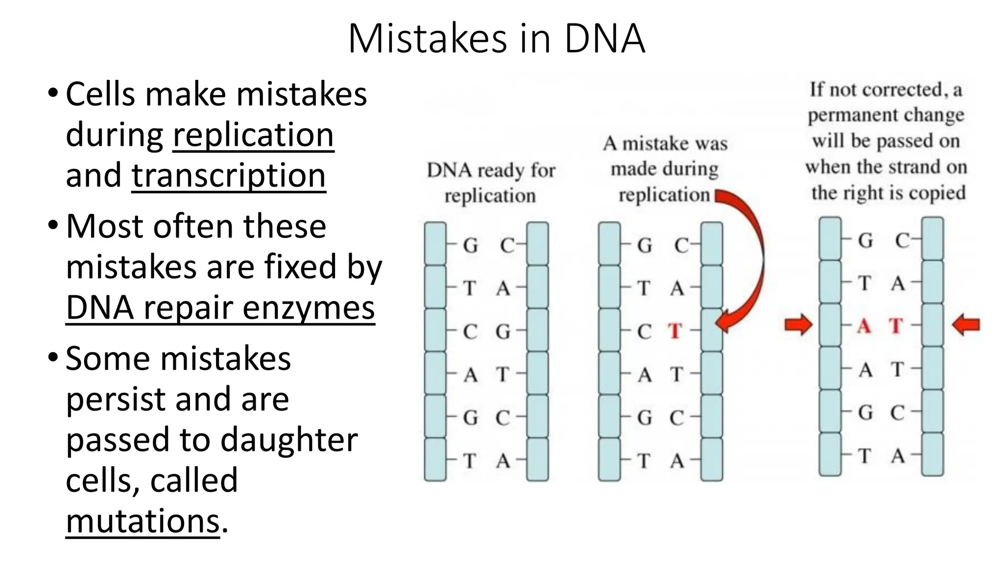 mutations ( types of mutation) point , missense , nonsense | PDF