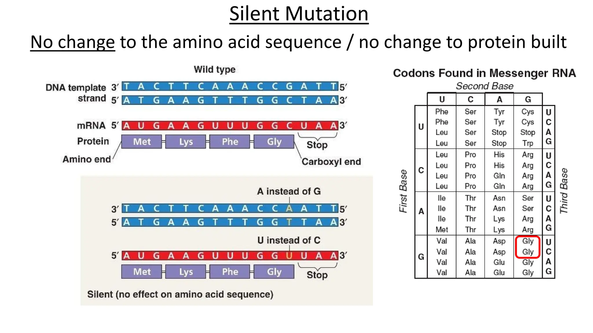 mutations ( types of mutation) point , missense , nonsense | PDF