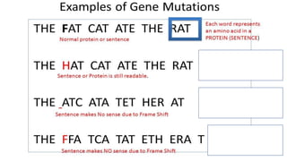 mutations ( types of mutation) point , missense , nonsense | PDF