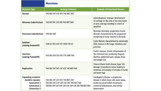mutations ( types of mutation) point , missense , nonsense | PDF