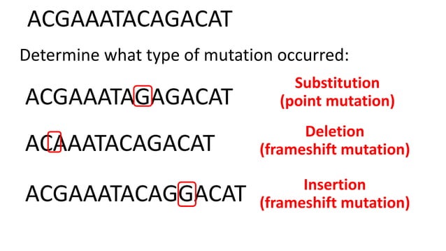 mutations ( types of mutation) point , missense , nonsense | PDF ...