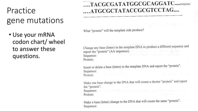 mutations ( types of mutation) point , missense , nonsense | PDF ...