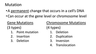 mutations ( types of mutation) point , missense , nonsense | PDF