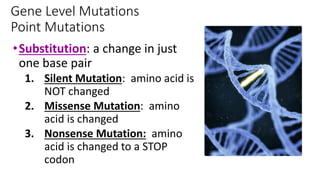 mutations ( types of mutation) point , missense , nonsense | PDF