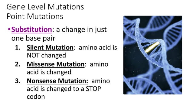 mutations ( types of mutation) point , missense , nonsense | PDF ...