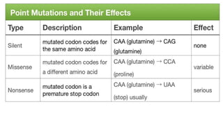 mutations ( types of mutation) point , missense , nonsense | PDF