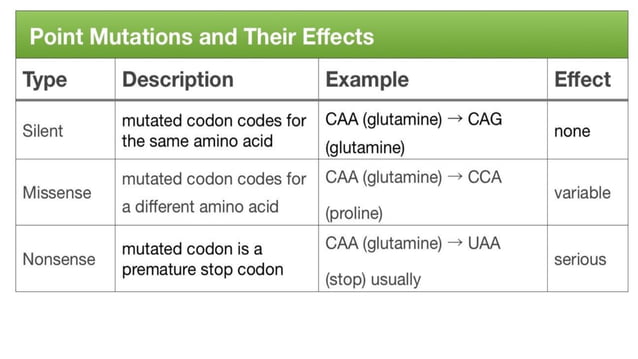 mutations ( types of mutation) point , missense , nonsense | PDF ...