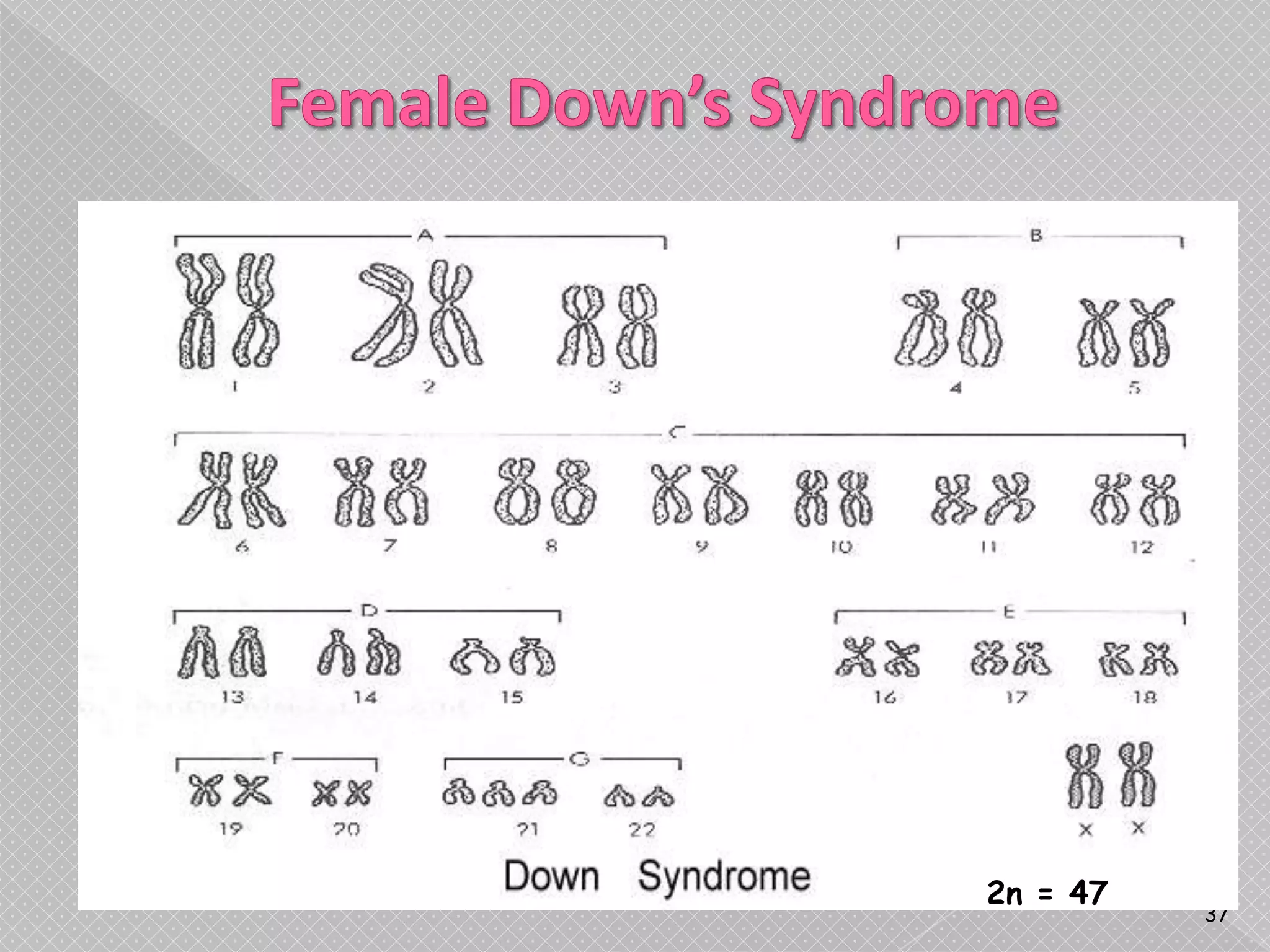 Mutations powerpoint | PPTX