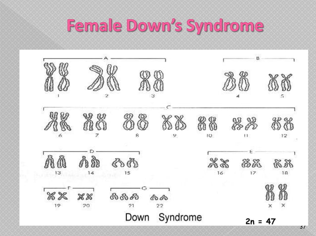 Mutations powerpoint | PPTX