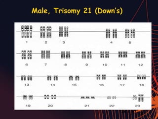 Mutations Powerpoint.ppt