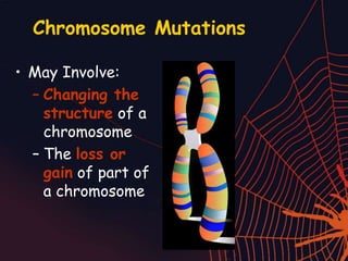 Mutations Powerpoint.ppt