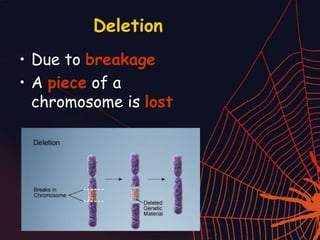 Mutations Powerpoint.ppt