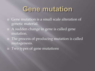 Mutations | PPT
