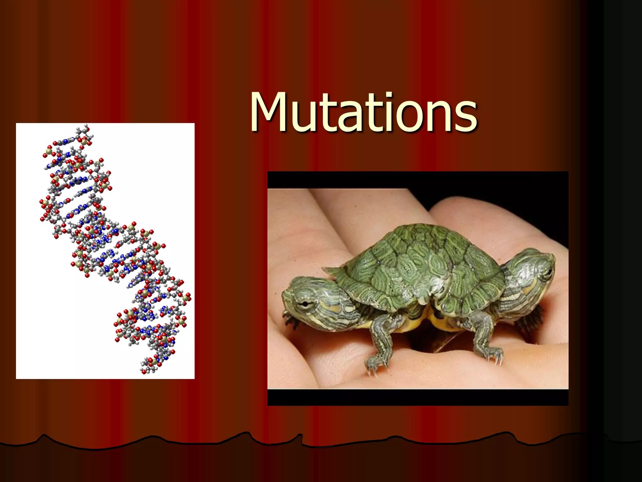 Mutations ppt.pdf